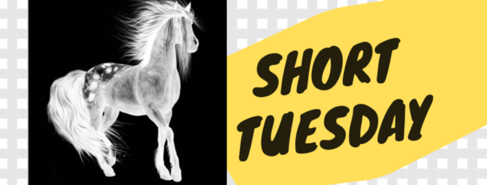 Short Tuesday #13: “Ghost of a Horse Under a Chandelier” by Georgina Bruce | Katie Jane Gallagher